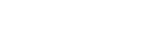 Dibac for sketchup overview